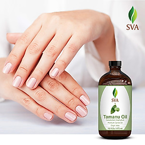 SVA Tamanu Seed Oil - 16 Fl Oz – 100% Natural Cold Pressed Tamanu Oil - for Face, Skin Care, Hair Care, Scalp Massage & Body Massage – Carrier Oil