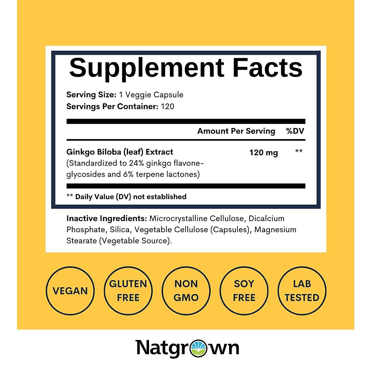 Natgrown Ginkgo Biloba 120mg - Extra Strength Ginkgo Biloba Extract Capsules - 120 Count