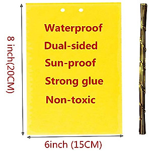 BestTrap ST2035 Sticky Traps, Flying Traps for Fruit Fly, Fungus Gnats, Aphids, Other Flying Insects, 6x8 Inch, 20 Pack - Yellow
