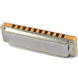 WAAZVXS M20 Diatonic Harmonica 10 Holes 20 Notes Blues Harp Key of C D Professional Musical Instruments (Color : Key of Low F)