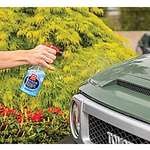 Griot's Garage 10980 Best of Show Detailer 22oz