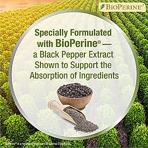 Four Paws Healthy Promise Cat Urinary Tract Supplement Soft Chews 110 Count