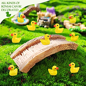 100Pcs Mini Resin Ducks, Tiny Ducks Figurines Bulk for Miniature Dollhouse Decor Accessories Garden Aquarium Potted DIY Ornament Party Toys