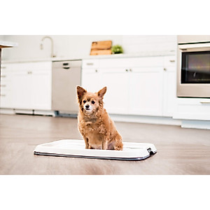 IRIS USA Pee Pad Holder, Medium Dog Pad Holder, Secured Latches, Non-Skid Rubber Feet, High Polish Finish for Easy Cleaning, Leak Protection Indoor Potty Tray, Dark Gray