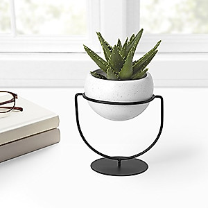Umbra 1009251-748 Nesta, Table Top or Hanging Modern Planter, Ideal Succulent Plant Holder, White/Black,Single Planter