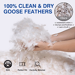 Zibroges ZB-DP01 Goose Feather Bed Sleeping, Hotel Down Pillows Queen Size, White Soft Cotton Cover, Fluffy Support Surround Fill Polyester for Back Side Stomach Sleeper 2 Count