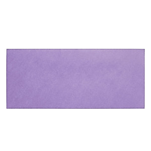 200-Pack #10 Purple Envelopes Bulk with Gummed Seal and V-Flap for Invitations, Mailing Business Letters, Checks, Greeting Cards, Holidays, Notes, and Photos (4 1/8 x 9 1/2 in)