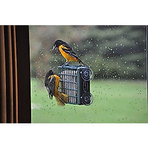 Kettle Moraine Window Mount Single Suet Cake Woodpecker Bird Feeder
