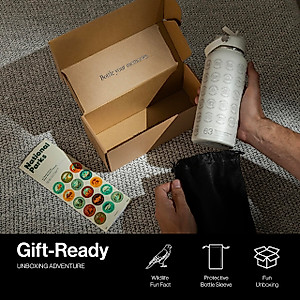 THE GEOPROJECT National Parks Water Bottle with Stickers Kit, Erikas Chesonis Collaboration, Adventure Flask with Straw, Waterproof Stickers for Water Bottle, Insulated Stainless Steel 32oz (Tan)