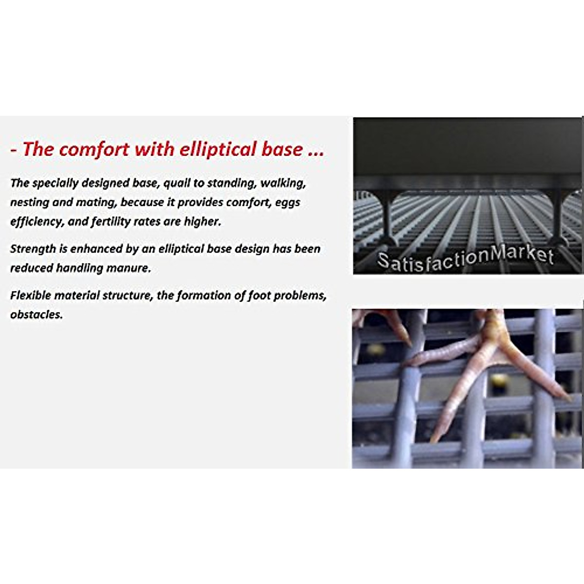 Quail Cage Two Compartment, The Patented Design, First in The World, Professional Quail Egg cage