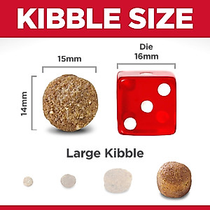 Hill's Science Diet Dry Dog Food, Large Breed Adult 6+ Senior, Chicken, Barley & Rice Recipe, 33 lb. Bag