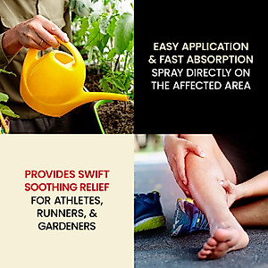 Dr. Hess Spray, Extra Strength Natural Joint & Muscle Relief for Sports Injuries, Arthritis, Swelling & Aching, with Aloe, Arnica, Tea Tree Oil & Camphor, Travel Size, 3.4 Oz (96g)