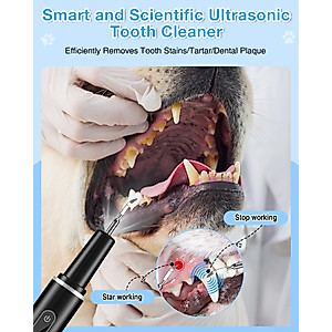 YXFAIRY Dog Tartar Remover for Teeth, Dog Plaque Remover for Teeth, Dog Ultrasonic Teeth Cleaner Toothbrush for Dog Cat, Teeth Cleaning Kit -Tartar Remover for Teeth Stains (Black, 8.46 in)