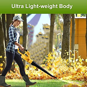 OMOTE Cordless Leaf Blower, 20V 2.0Ah Battery and Charger Included, Low Noise, Lightweight Leaf Blower Battery-Operated with One Button Control, Air Blowers for Lawn Care, Leaves and Snow Blowing