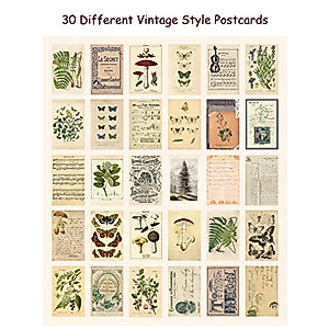 Knaid Vintage Style Postcard Set, Pack of 30 Botanical Plants Butterfly Mushroom Leaves Fruits Retro Postcards