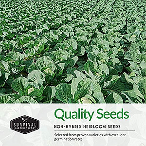 Survival Garden Seeds Cabbage Collection Seed Vault - 5 Non-GMO Heirloom Varieties - Red Acre, Golden Acres, Jersey Wakefield, Early Round Dutch & Michihili (Napa) - Plant & Grow Your Own Vegetables