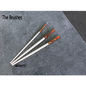 Artmaple Paint by Number for Adults Beginner Kids, Ideal Gift Choice for Birthday,Anniversary or Any Festival. DIY Acrylic for Decor Canvas Roll (16x24, Plants in Glass Bottles)