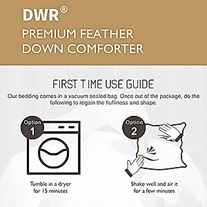 DWR Lightweight Feather Down Comforter Queen, 100% Cotton Cover, Summer Warm Weather Bed Quilt, Thin All-Season Duvet Insert for Hot Sleepers (Ivory White, 90x90)