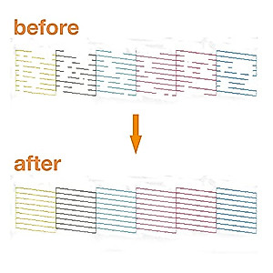 Inkjet Printers Printhead Cleaner for 69 68 T069220 Epson Stylus CX9400Fax CX9475Fax CX8400 CX7000F CX6000 CX5000-3.4oz 100ml Cleaning Kit