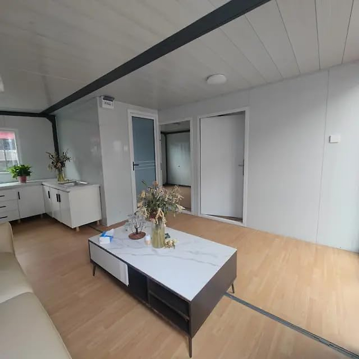 Customizable 2 & 3 BHK Portable Container Houses | Free Semi-Furnished Options