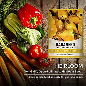 Yellow Habanero Pepper Seeds for Planting 100 Heirloom Non-GMO Habanero Peppers Plant Seeds for Home Garden Vegetables Makes a Great Gift for Gardeners by Gardeners Basics