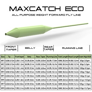 Maxcatch Fly Fishing Line (Weight Forward, Floating) and Fly Line Combo with Backing Leader and Tippet (1F/2F/3F/4F/5F/6F/7F/8F/9F/10F) (Line Combo Moss Green, WF5F 100FT)