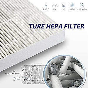 Ganteny True HEPA Replacement Filters B Compatible with Winix 9500 U300 P300 WAC9000 WAC9500 WAC5000 WAC5000b WAC5300 WAC6300 WAC5500 Air Purifiers, Compared to Winix Filter B 114190, 3 Pack