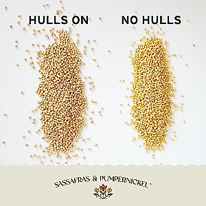 Sassafras & Pumpernickel Organic Millet without Hulls (12 lbs) USA Grown and Packaged, Bulk White Proso Millet for Birds, Hull-on Millet for added nutrients, Millet Bird Seed for parakeets, cockatiels