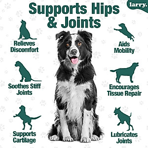 Dog Hip and Joint Supplement by Larry | Chondroitin, MSM, Hyaluronic Acid, & Glucosamine for Dogs | Dog Hip & Joint Care for All Breeds & Sizes | Dog Treats for Hip and Joint Health, (120 Soft Chews)