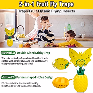HiAnifri Fruit Fly Trap for Indoors, 2023 Upgrade Fruit Fly Trap with Double Side Sticky Trap, Non-Toxic Reusable Fly Catcher Gnats Killer Trap Indoor Comes with Bait for Home/Plant/Kitchen (2 Pack)