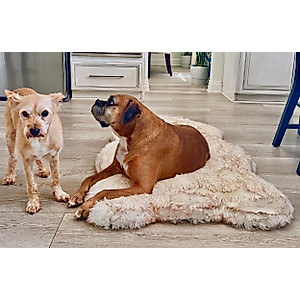 Agape Paws LUXURY FAUX FUR ORTHOPEDIC BED | Premium Joint Health Memory Foam Dog Bed with Waterproof | Washable Cover | Durable | Comfortable | Chew Proof Luxury Pet Bed for Large Dogs.