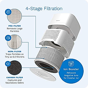 hOmeLabs 4-in-1 Compact Air Purifier - Quietly Ionizes and Purifies Air to Reduce Odors and Particles from the Air