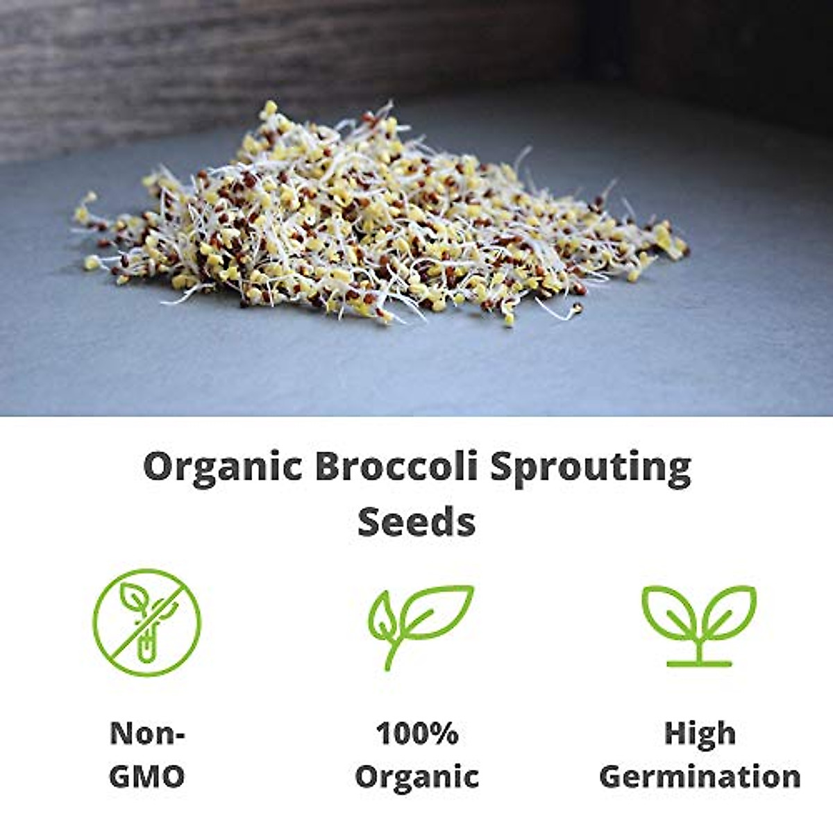 Organic Broccoli Sprouting Seeds by Handy Pantry | 2.5 Pound Resealable Bag | Bulk Non-GMO Broccoli Sprouts Seeds, Contain Sulforaphane
