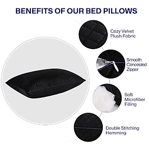 GOHOME Soft Pillows for Sleeping - Hotel Collection King Size Pillows 2 Pack for Side, Back and Stomach Sleepers, Velvet Bed Pillows with Adjustable Filling, Black 20"x36"