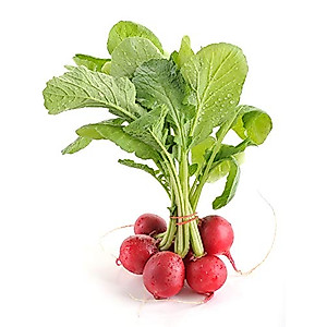 Pink Celebration Radish Seeds, 100+ Heirloom Seeds Per Packet, (Isla's Garden Seeds), Non GMO Seeds, Botanical Name: Raphanus sativus