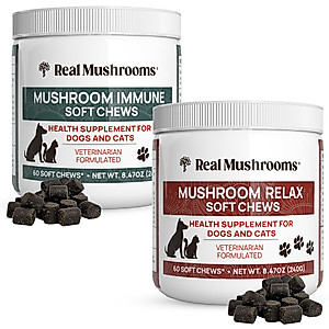 Real Mushrooms Immune Pet Chews (60ct) & Relax Pet Chews (60ct) - Bundle for Immunity, Relaxation & Longevity - Reishi, Lion’s Mane, Ashwagandha, Astragalus & More - Vegan, Non-GMO, Gluten-Free