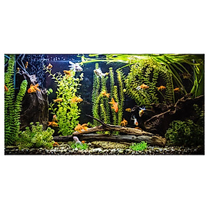 Dizifinn Aquarium Background, River Bed & Lake Tropical Undersea Tree Branch Aquatic Plant Fish Tank Background, 6 EVA Double-Sided Tapes 36x18 inches/90x45
