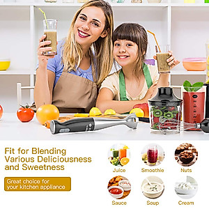 CHINYA Immersion Hand Blender, Powerful 4-in-1 Hand Blender,Electric food blender with 16oz Food Chopper, 20oz SAN Beaker and Ballon Whisk, BPA-Free Hand Mixer Set