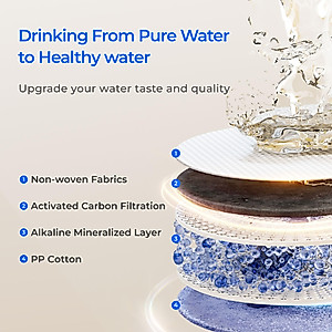 Waterdrop WD-F1A Alkaline Mineral pH+ Filter, Replacement for WD-X12-Alkaline & WD-X16 Reverse Osmosis System, 12-month Lifetime