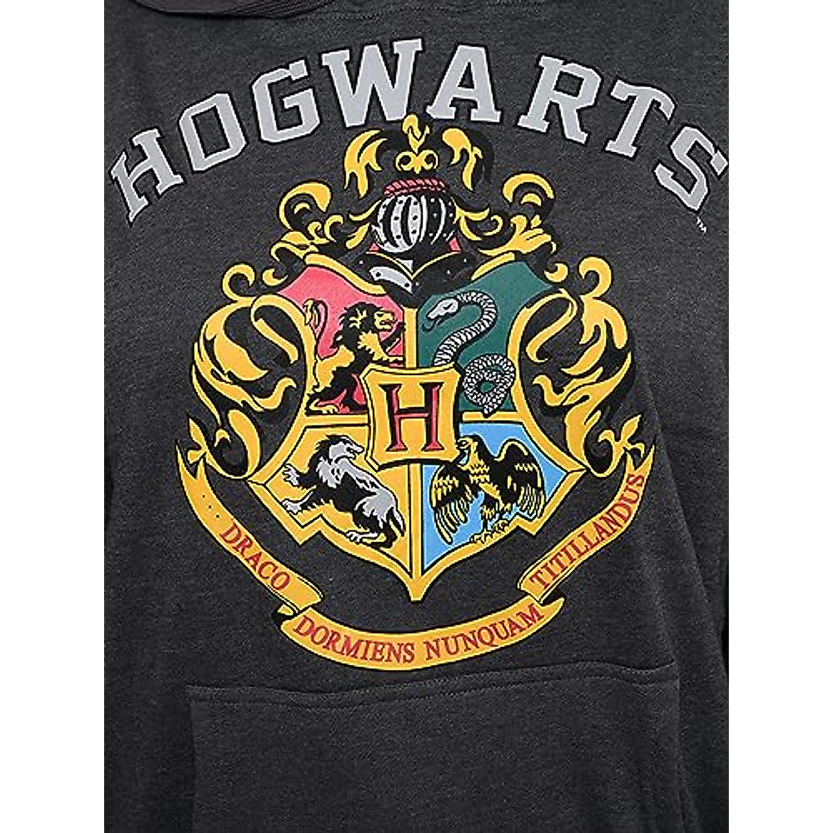 Harry Potter Womens Hoodie Hogwarts Crest Pullover (Charcoal, Medium)