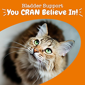 Zesty Paws Cranberry Urinary Tract Bites for Cats - Kidney & Urinary Tract Health - Soft Chews with D-Mannose, Vitamin B6 & L-Arginine - Immune & Gut Support - Bacon - 60 Count