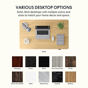 FLEXISPOT EN1 Whole-Piece Standing Desk - 48" x 30" Electric Height Adjustable Heavy Duty Steel Stand Up Desk Frame w/Automatic Smart Keypad (Black Frame + Maple Top, 2 Packages)