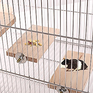 ROZKITCH 5 PCS Hamster Platform, Squirrel Gerbil Chinchilla Dwarf L-Shaped Pedal Natural Wood Activity Playground, Parrot Round Standing Board*2, Bird Perch Cage Toy*2, Play Gym Tray Cage Accessories