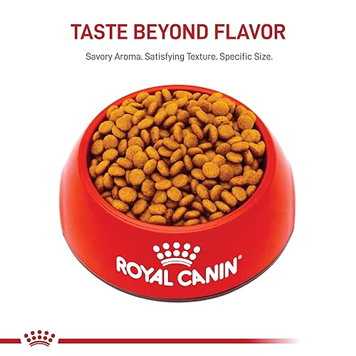 Royal Canin X-Small Adult 8+ Dry Dog Food, 2.5 lb bag