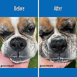 earthbath, Treatment Balm - Dog Balm for Paws and Nose, Dry Cracked Nose and Paw Balm, Plant-Based, Curelty-Free, Vegan, Made with Nilotica Shea Butter for Dogs and Cats - 2.2 Oz