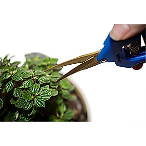 2 Pack Curved Tip Trimming Scissors with Spring-Loaded Comfort Grip Handles and Titanium Coated Blades