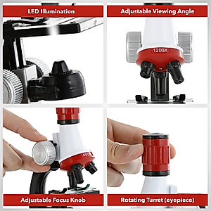 IQCREW ETXWJ04 100X-1200X LED Kids Beginner Microscope Toy Set + Slides Preparation Kit