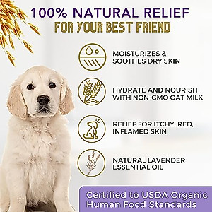 4Legger Organic Dog Shampoo USDA Certified Organic, All Natural Hypoallergenic Dog Shampoo with Oatmeal, Lavender, and Coconut Oil - Organic Oatmeal Shampoo for Dogs - Dog Shampoo for Itchy Skin 16 oz