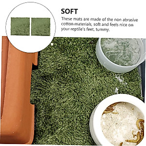 GANAZONO 2Pcs Climbing Pet Fake Lawn Terrarium Substrate Liner Reptile Bed Reptile Climbing Carpet Miniature Grass mat Amphipod Reptile Moss Carpets Horned Frog Cotton Absorbent pad