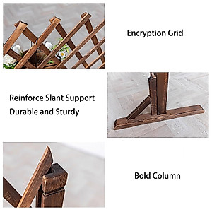 Expandable Wooden Fence, Freestanding Wood Garden Trellis Fencing, Fence Panel Partition Decorative, for Indoor Outdoor Garden Courtyard (Color : Natural, Size : 80x160cm)